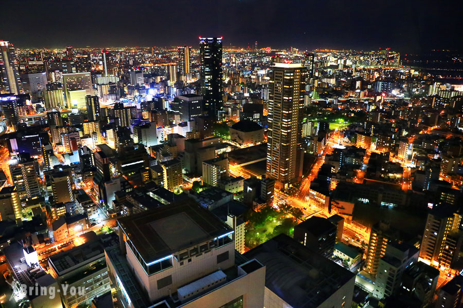 A Visitor’s Guide to Umeda Sky Building: Getting In, Osaka Amazing Pass ...