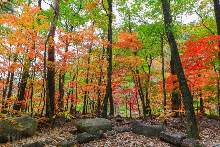 An Autumn Hiker's Guide to Seoraksan National Park: Day Trip and Things ...