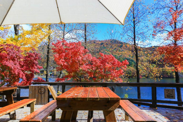 Is It Worth Visiting Nami Island? Here’s How to Plan a Day Trip Like a ...