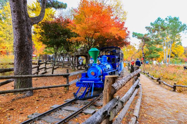 Is It Worth Visiting Nami Island? Here’s How to Plan a Day Trip Like a ...