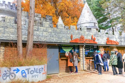 Is It Worth Visiting Nami Island? Here’s How to Plan a Day Trip Like a ...
