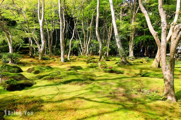 Gioji Temple: A Tranquil, Moss-Covered Sanctuary in Arashiyama, Kyoto ...