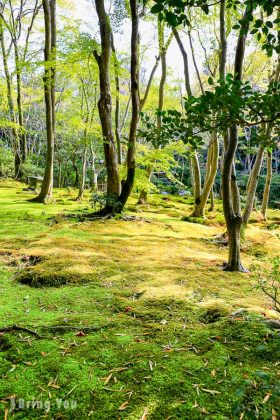 Gioji Temple: A Tranquil, Moss-Covered Sanctuary in Arashiyama, Kyoto ...