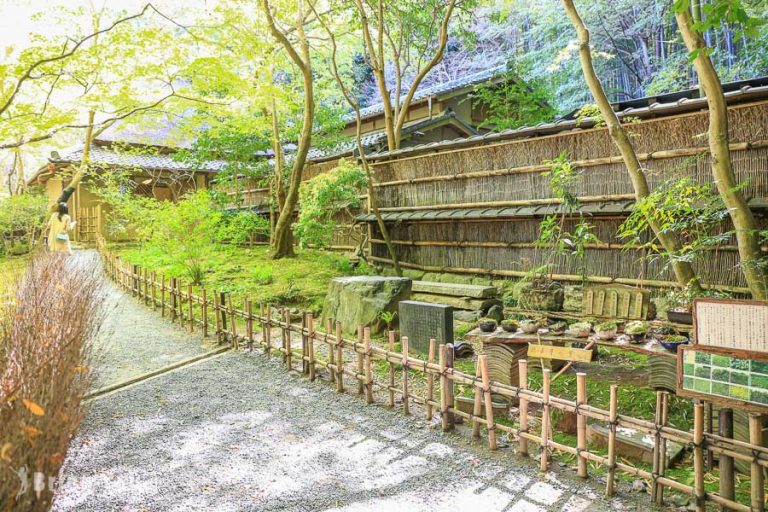 Gioji Temple: A Tranquil, Moss-Covered Sanctuary in Arashiyama, Kyoto ...