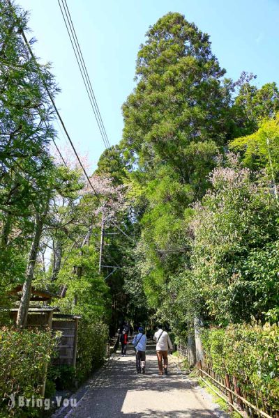 Gioji Temple: A Tranquil, Moss-Covered Sanctuary in Arashiyama, Kyoto ...