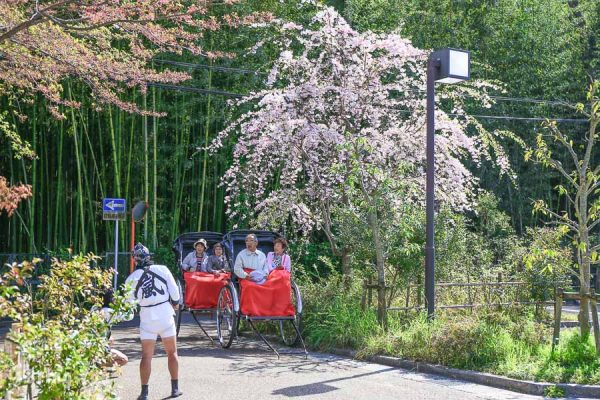 Gioji Temple: A Tranquil, Moss-Covered Sanctuary in Arashiyama, Kyoto ...