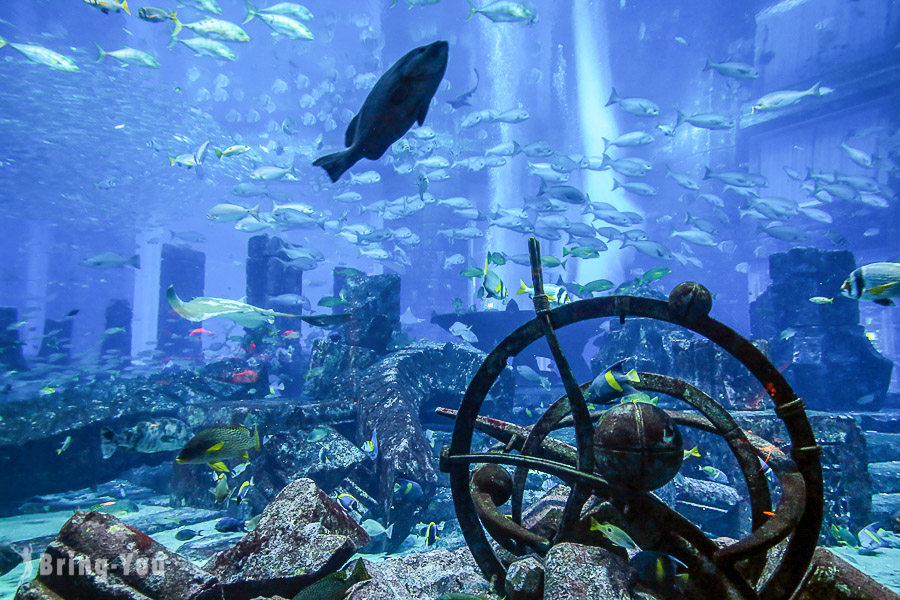 A Navigator’s Guide to Atlantis the Palm, Dubai: The Room, Things to ...