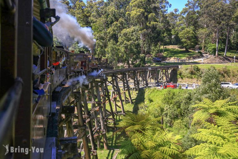 Puffing Billy Visitor’s Guide: Travel Tips, Tickets, and What to See ...